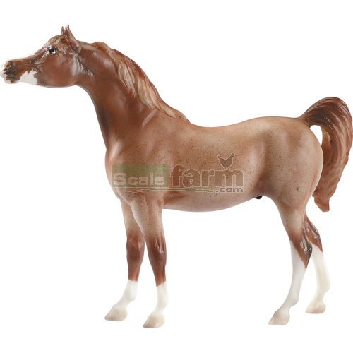 Red Roan Arabian